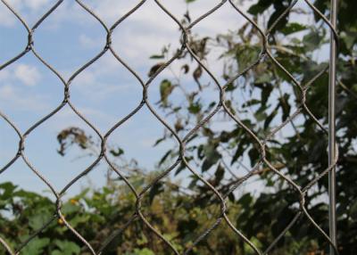 China Durable Stainless Steel Aviary Mesh 1.6mm SS Cable Net Zoo Enclosure 7x19 for sale