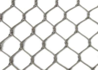 China Stainless Steel Aviary Mesh 40x40mm for sale