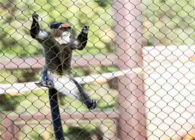 China Knotted SUS304 2.0mm Stainless Steel Mesh For Bird Aviary Iner Woven Type for sale