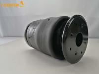 China Air Ride Suspension For Pickup Trucks W01-358-9265 W013589265 For  85101155 for sale