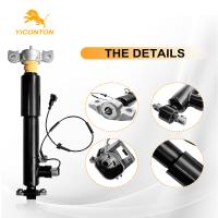 China EG9Z18125D ASH24651 is suitable for Lincoln MKZ air suspension struts for sale