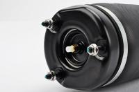 China Front Air Suspension Strut for Mercedes GL350 GL450 ML320 with ADS System - OE 1643205813 1643204613 for sale