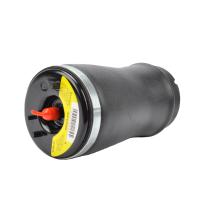 China 37121095579 37121095580 IATF46949 Air Suspension Spring For X5 E53 for sale