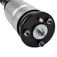 China RNB50160 Front Air Suspension Strut Assembly for Land Rover Discovery 3 with 50,000 Monthly Capacity for sale