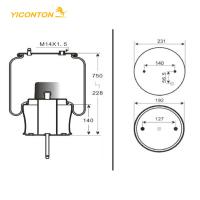 China Trailer Air Suspension Spring 1DF20A-2 Goodyear 1R11-185 566-22-3-859 1440305 for Scania Bus for sale