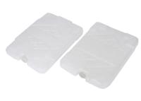 China 195*140*30MM Reusable PE Ice Keeper Custom Design Plastic Containers for Storage for sale
