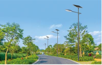China 30w 40w 50w 60w  80w 100w Waterproof auto intensity controlled LED Solar Street Lights for sale