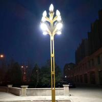 China White LED light Street Lights Outdoor Column Post Lights 80W-240W 160lm/W 6500K Working environment temperature -20℃~+50 for sale