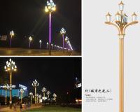 China 80W-240W Combined lighting rod series LED Pole light Street Lights Outdoor for sale