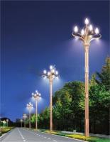 China 150 Watt Commercial Outdoor Led Light street light With Pole Security Lighting  Magnolia flower shape combination light for sale