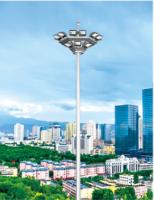China Led Sodium Lamp Replacement High Mast LED Street Light 160lm/W 100-265V for sale