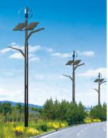 China 400w 300w 200w 100w  Led Solar Street Light Government Project Outdoor solar led street light 170lm/w high performance for sale