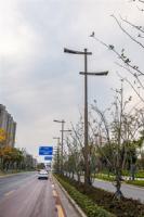 China Pure White Metal Decorative Led Street Lights 90w 6000LM SMD3030 Dimmable 80000H for sale