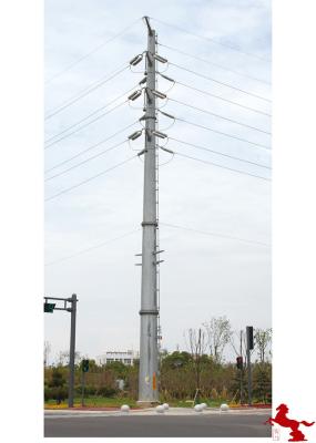 China Networking Monopole Communication Towers Pole LDTXT-24308 for sale