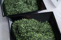 China Shade-Grown Chinese Tencha Green Tea Leaves Premium Raw Material for Authentic Matcha Grinding for sale
