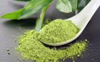 China De-Veined Steamed Organic Tencha Green Tea Leaves Unmilled Raw Material for Artisan Stone-Ground Matcha Production for sale