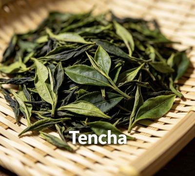 China 25kg Vanilla Flavored Tencha Green Tea Leaves Steamed Ingredient-Grade Raw Material for Matcha Powder Mixing for sale