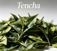 China Ceremonial Grade Organic High Mountain Grown Matcha Raw Material Tencha Leaves for Premium Production for sale