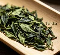 China Shade-Grown Tencha Leaves High Amino Acid Ceremonial Grade Matcha Raw Material for sale