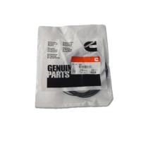 China 6CT8.3 Diesel Engine Cylinder Liner Seal Ring 3907177 for sale