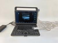 China Best Price CW, TDI , PDI Handheld Portable Ultrasonido 3D 4D Veterinary Doppler Ultrasound Machine for sale