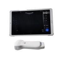 China Wireless Android/ios Usb Ultrasound Probe Dual Head Ultrasound Scanner 3 in 1 Convex Linear Phased Array Pocket Ultrasound for sale