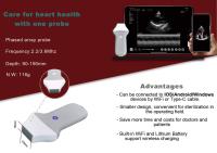 China Portable Hand Held Used Cheap Phased Array Ultrasound Machine Probe for sale