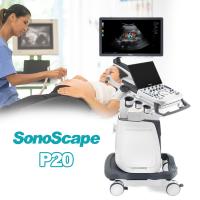 China High Quality Sonoscape 4d 3d Ultrasound Machine Ultrasonido Veterinariy Human Ultrasounde Scanner for sale