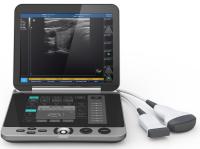 China High Resolution  Laptop B/W Ultrasound MSK  Ultrasound Scanner  Laptop Ultrasound Machine for sale