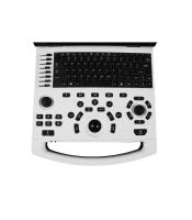 China Digital Human Veterinary Portable Ultrasound Machine Ultrasound Portable Ultrasound for sale