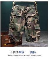 China Summer Mid Waist Cotton 100% wholesale men shorts cargo Urban Fashion Regular Custom (DY006) for sale