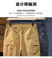 China Grey Grey Mid Waist Spring/Summer wholesale men shorts cargo Polyamide (Nylon) 100% Loose Fit Custom (DY004) for sale