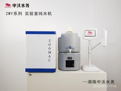 China User Friendly Design Ultra Pure Water Purifier Lab Water Filtration System 10L for sale