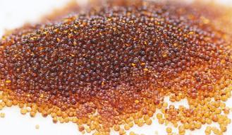 China MR-450 UPW Grade Ion Exchange Resin Lower PPB Levels TOC Cleaning Characteristics for sale