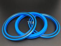 China 85x100x9 O Ring Hydraulic Cylinder Rod Seal Oil Guarding OEM ODM for sale