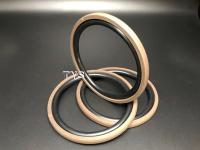 China 115X7.9 Hydraulic Piston Seals Couple PTFE BRONZE NBR Hitachi ZAX210 Bucket Seal for sale