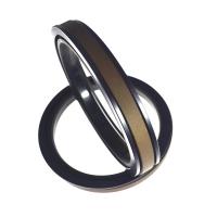 China Wear Resistance Hydraulic Piston Seals 65mm Anti Extrusion OEM for sale