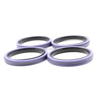 China PTFE NBR POM Hydraulic Piston Seals PTFE Hydraulic Cylinder Oil Seal for sale