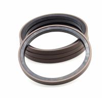 China Cylinder SPG Hydraulic Piston Seals 50mm Low Friction OEM ODM for sale
