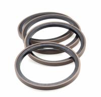 China Cylinder SPG Hydraulic Piston Seals 50mm Low Friction OEM ODM for sale