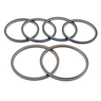 China PTFE GRS Cylinder Rotary Hydraulic Piston Seals ISO9001 Approved for sale