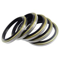 China DKB DKBI DLI DKI Hydraulic Wiper Seals for sale