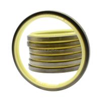 China DKB DKBI DLI DKI Hydraulic Wiper Seals for sale