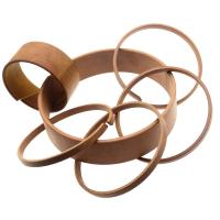 China PTFE Machine Seal Hydraulic Guide Ring For Hydraulic Bearing for sale
