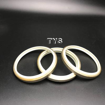 China DKBI 95*109*8/11 Hydraulic Cylinder Seals Dust Seals DKBI Best Excellent Quality factory whole sale for sale