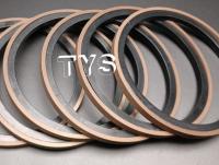 China Shaft Hydraulic Sealimbined Piston Seals Nbr PTFE SPG Taiwan for  Mechanical Seal Hydraulic Cylinde for sale