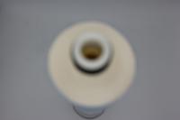 China Pre Filtration Reverse Osmosis Membrane 100GPD 300*300*350mm Stable 98% Desalination Rate for sale