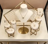 China Luxury Beige & Bronze Gold Jewelry Display Set, Premium Velvet Jewelry Showcase for Necklaces, Rings & Earrings for sale