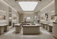 China Elegant Glass Jewelry Vitrine Stainless Steel Frame Luxury Store Display Furniture for sale