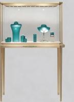 China Luxury Tempered Glass Jewelry Showcase with LED Lighting and Customizable Dimensions for High-End Retail and Exhibition for sale